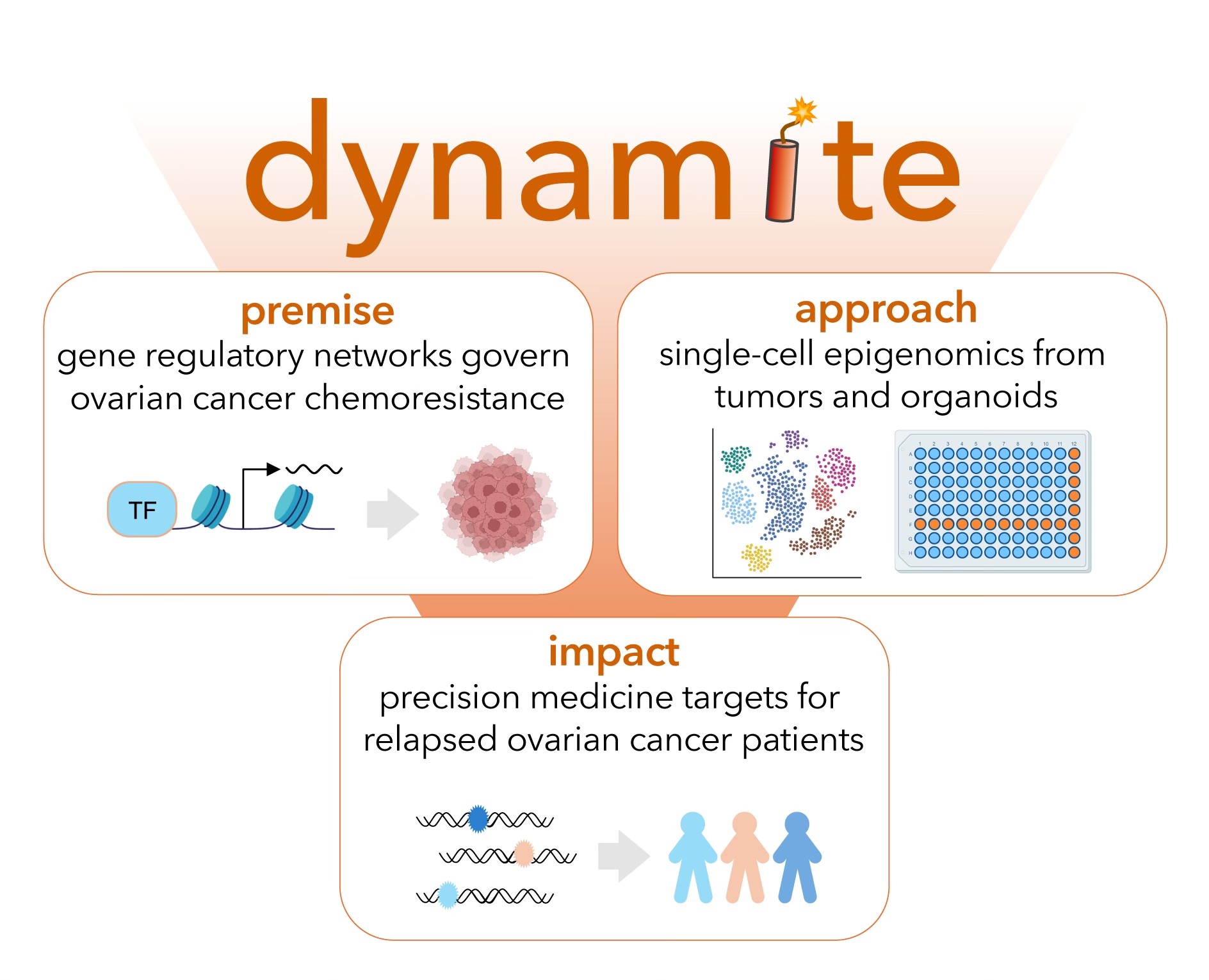 DYNAMITE - European Partnership for Personalised Medicine - EP PerMed